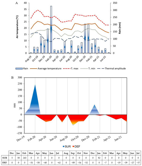 Germplasm Diversification in Citrus Orchards in a Mesothermal Climate ...