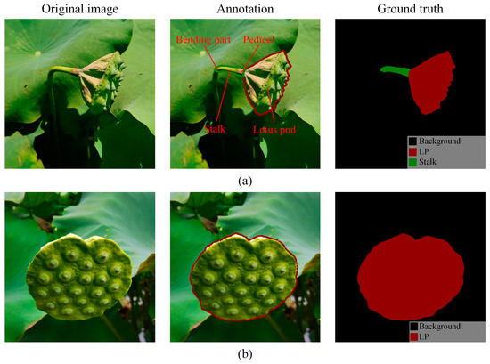 Instance Segmentation of Lotus Pods and Stalks in Unstructured Planting ...
