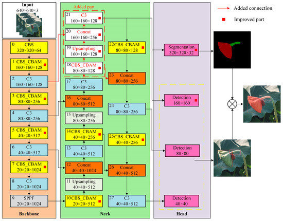 Agriculture | Free Full-Text | Instance Segmentation of Lotus Pods and ...