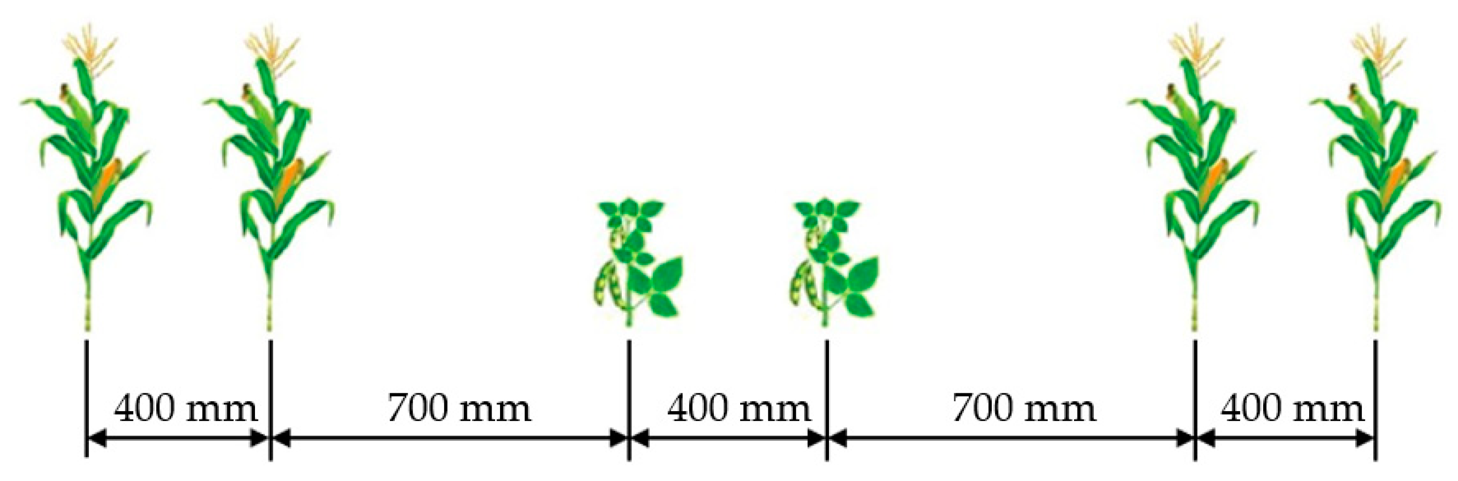 Design and Test of a Low-Loss Soybean Header Based on Synchronous Profiling