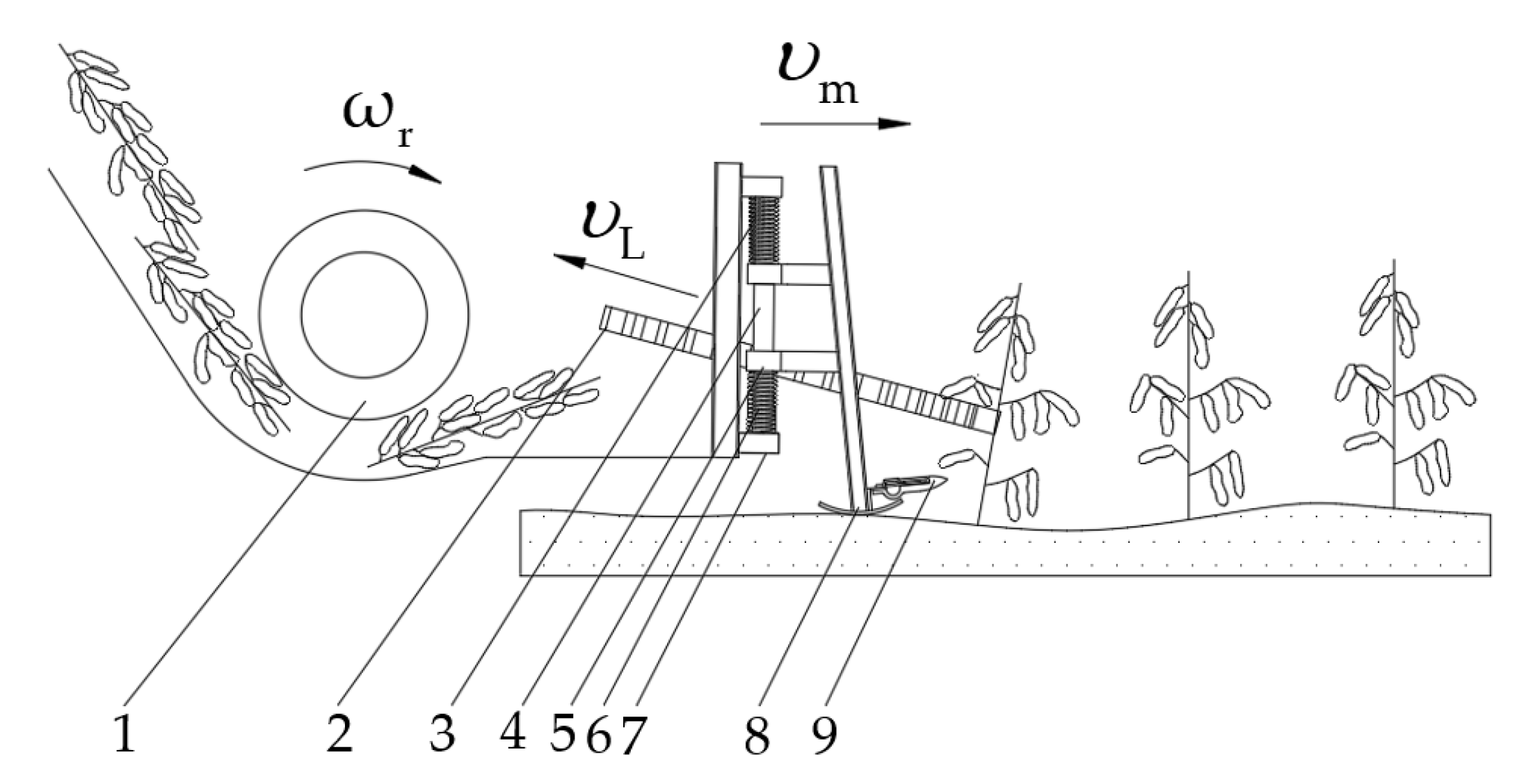 Design and Test of a Low-Loss Soybean Header Based on Synchronous Profiling