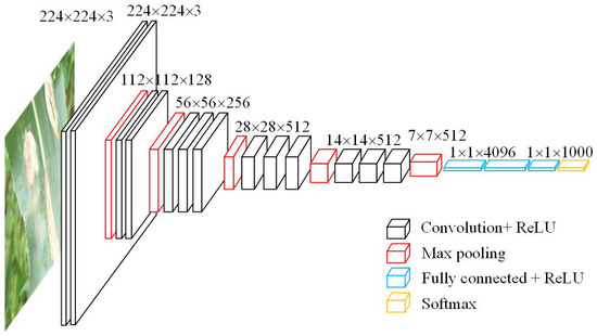 VGNet: A Lightweight Intelligent Learning Method for Corn Diseases ...