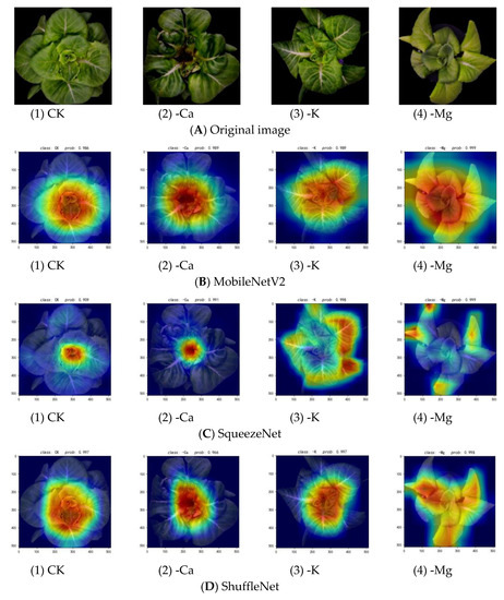 Lettuce Plant Trace-Element-Deficiency Symptom Identification via ...