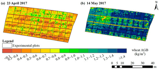 Unmanned Aerial System-Based Wheat Biomass Estimation Using ...