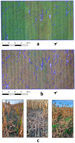Evaluation of Maize Crop Damage Using UAV-Based RGB and Multispectral ...