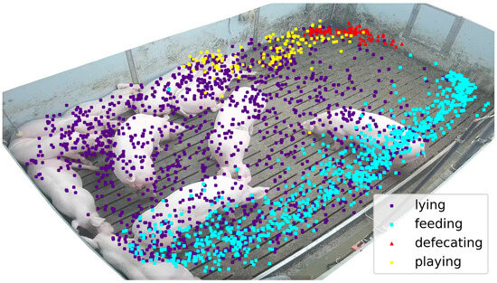 Describing Behavior Sequences of Fattening Pigs Using Process Mining on Video Data and Automated ...