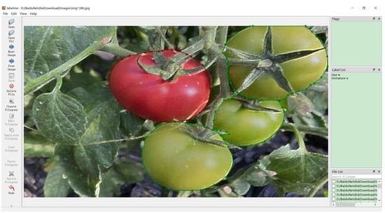 Improved YOLOv8-Seg Network for Instance Segmentation of Healthy and Diseased Tomato Plants in ...
