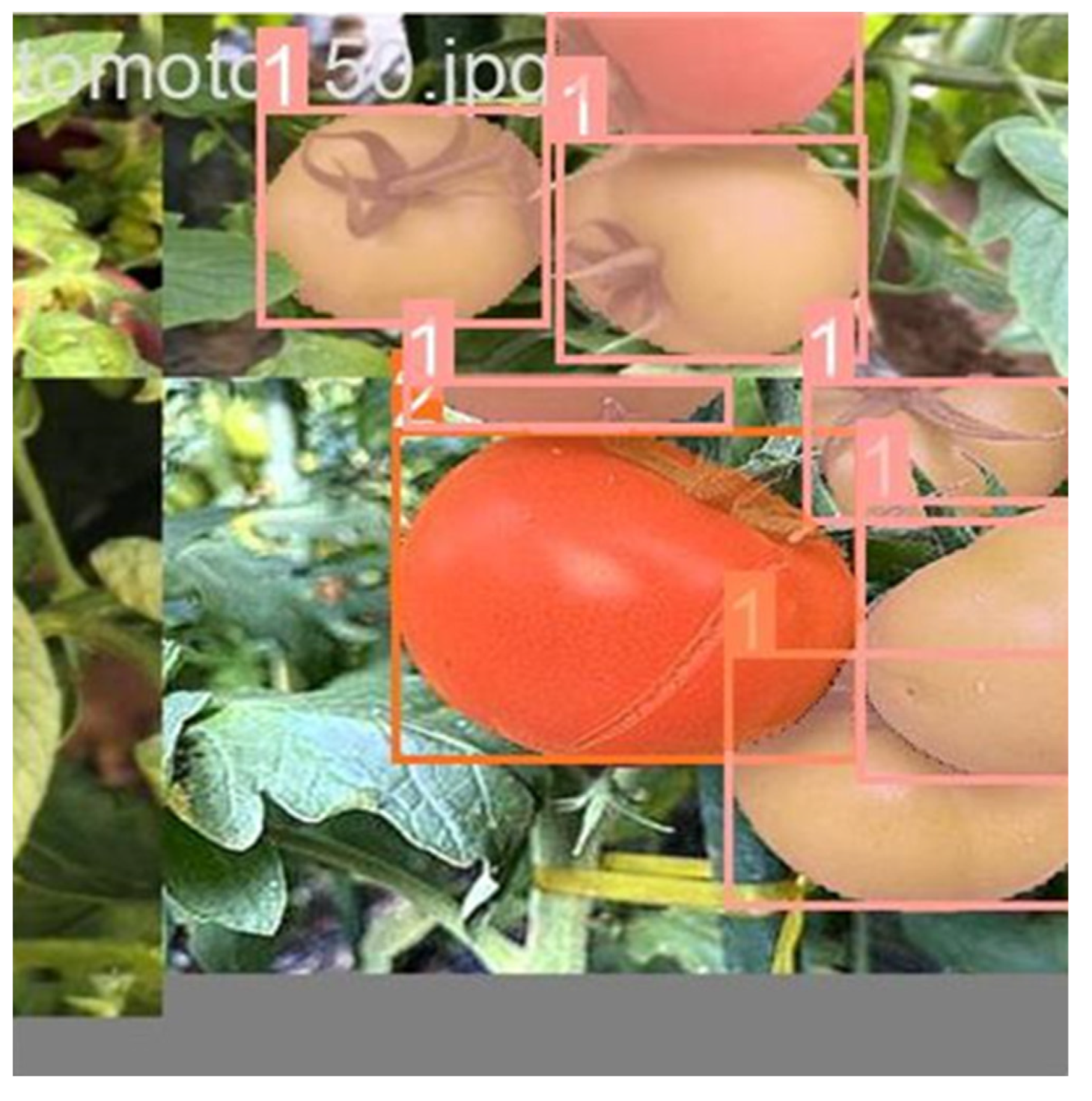 Improved YOLOv8-Seg Network for Instance Segmentation of Healthy and ...