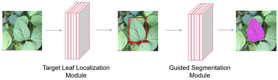 Target Soybean Leaf Segmentation Model Based on Leaf Localization and Guided Segmentation