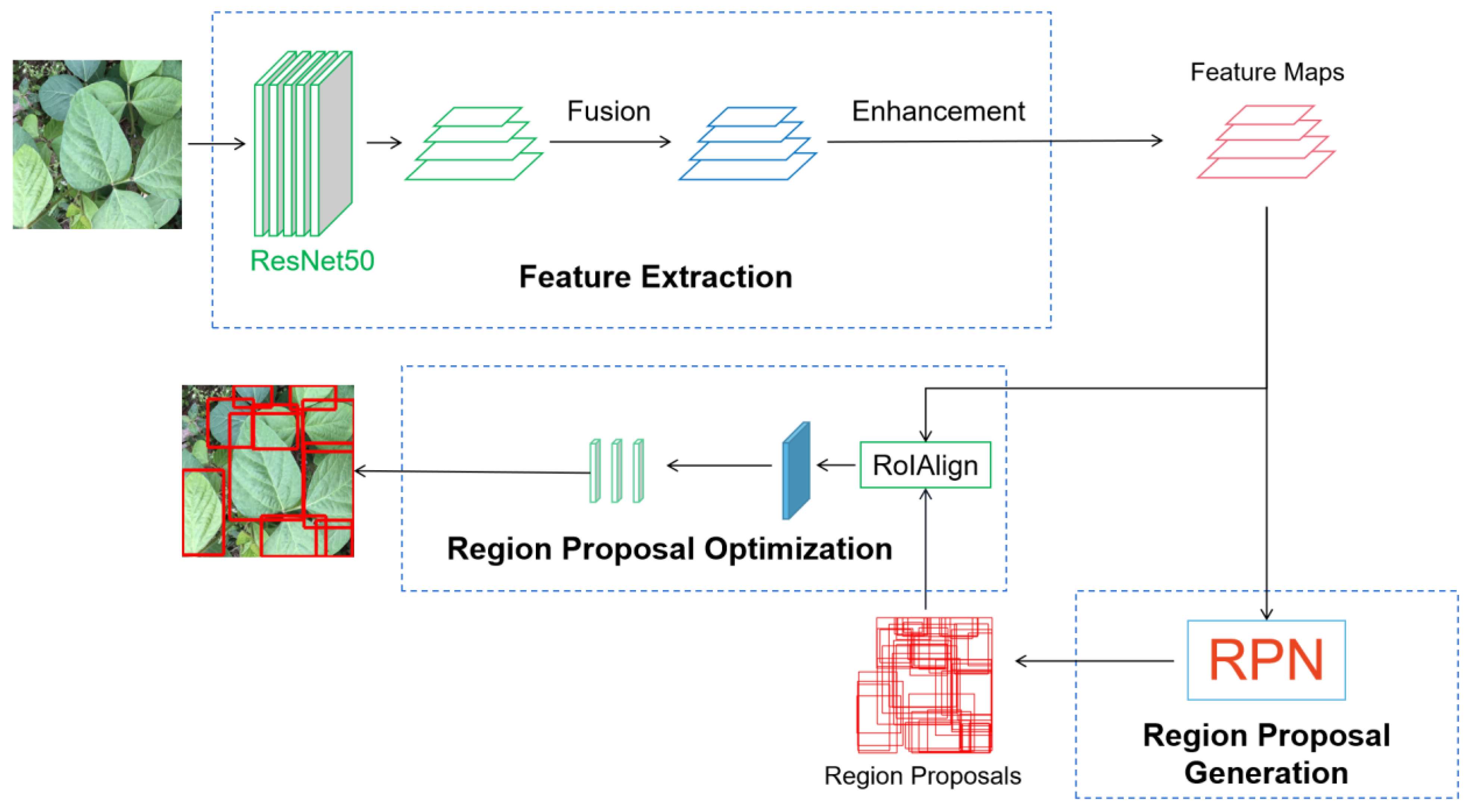 Target Soybean Leaf Segmentation Model Based on Leaf Localization and Guided Segmentation