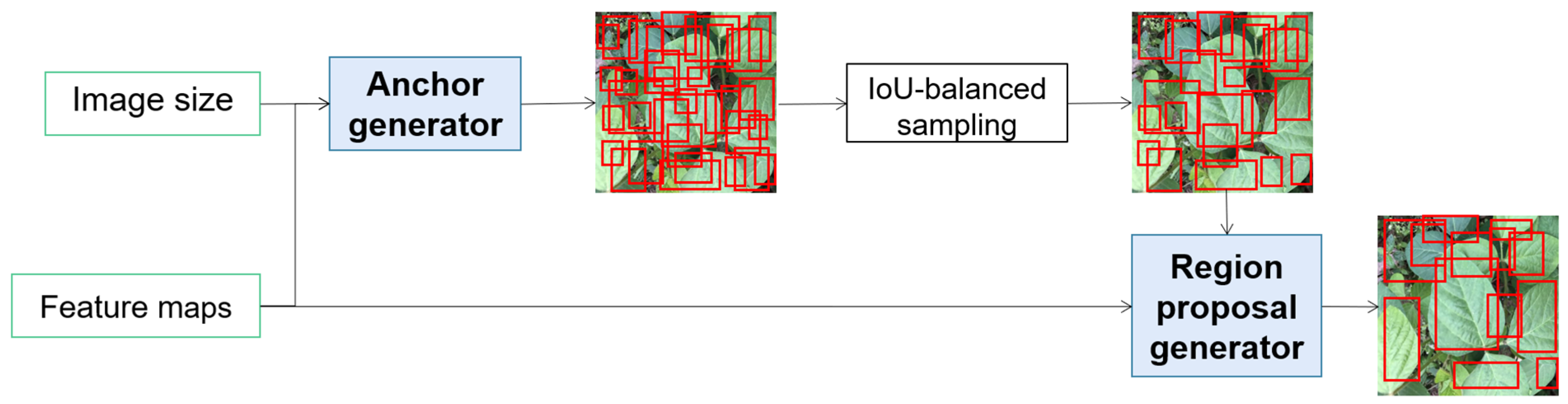 Target Soybean Leaf Segmentation Model Based on Leaf Localization and Guided Segmentation