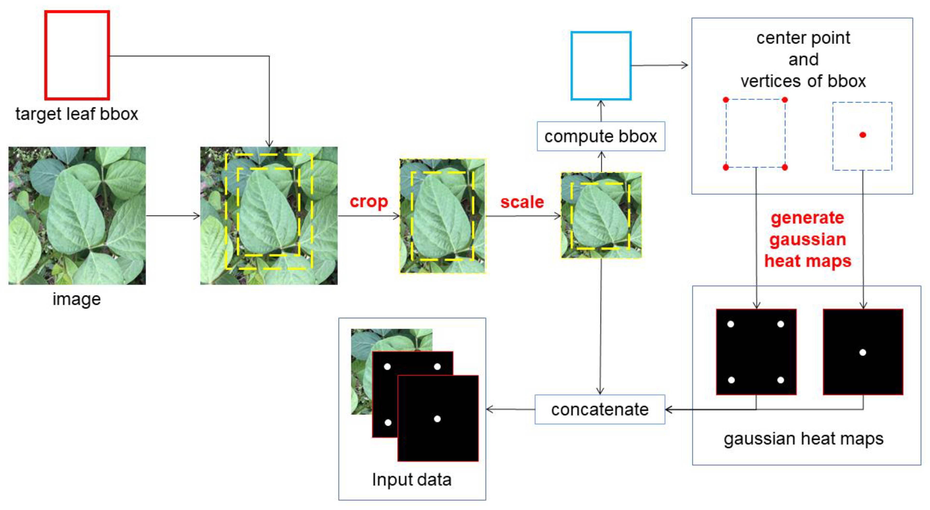 Target Soybean Leaf Segmentation Model Based on Leaf Localization and ...