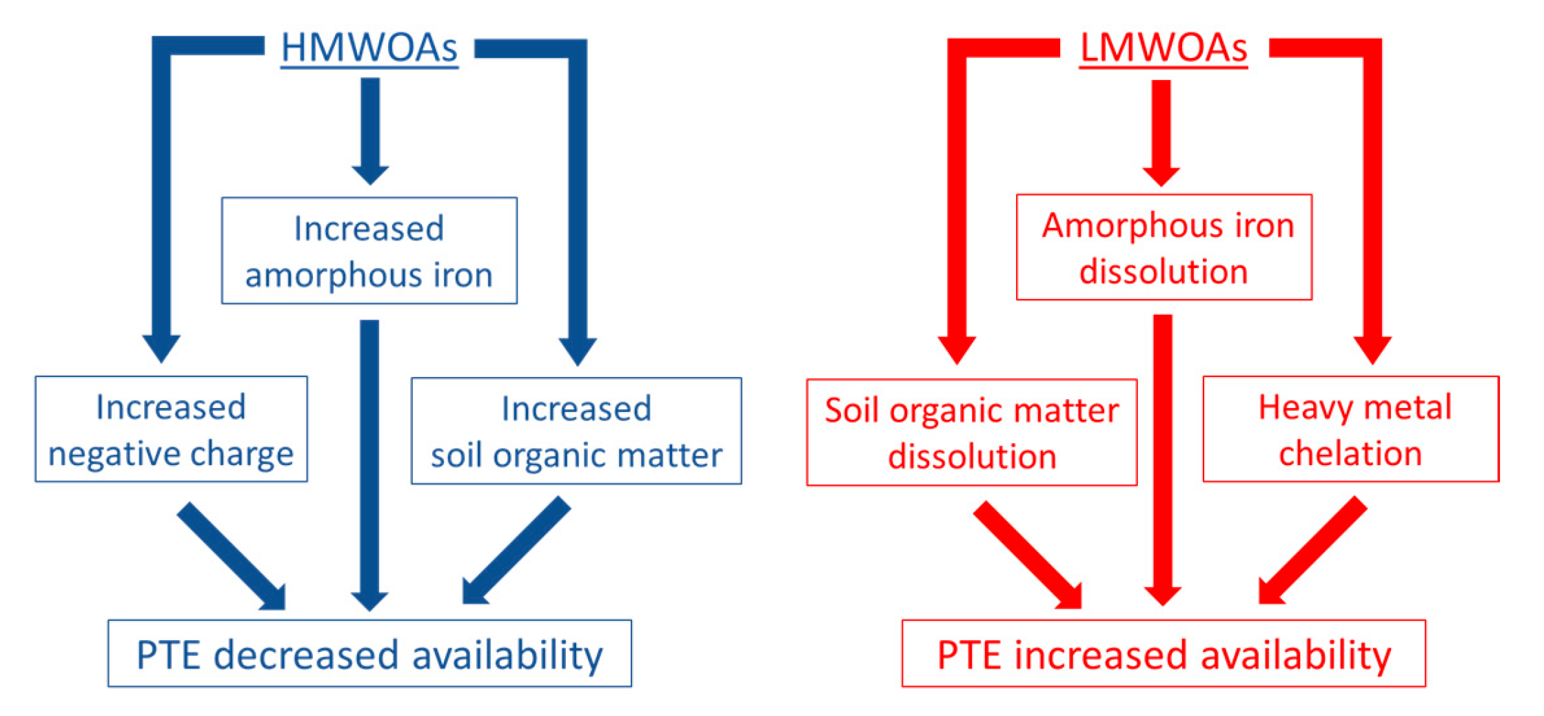 Potentially Toxic Elements: A Review on Their Soil Behavior and Plant ...