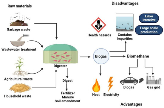 Advancements and Innovations in Harnessing Microbial Processes for Enhanced Biogas Production ...