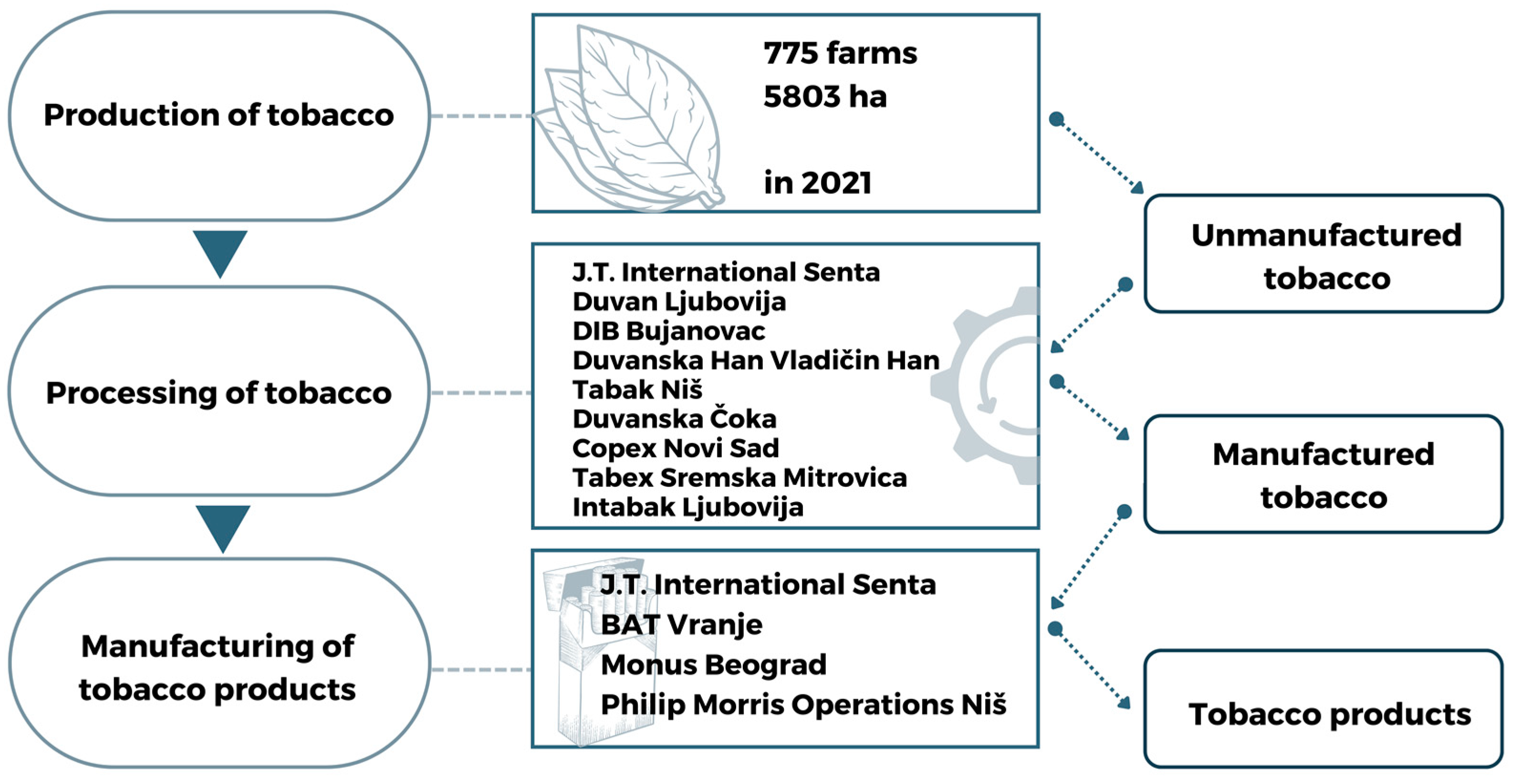 Characteristics of the Supply Chain of Tobacco and Tobacco Products ...