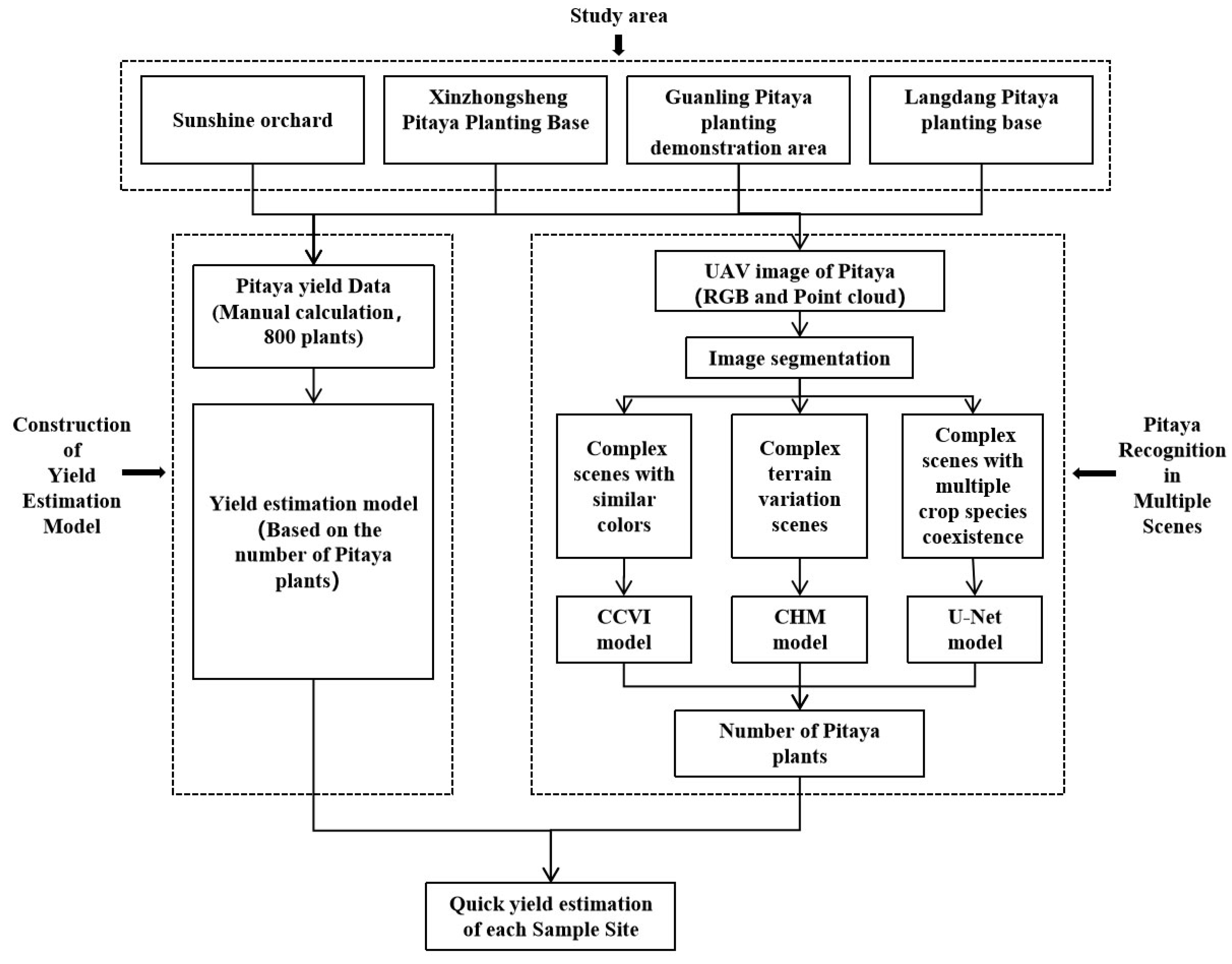 Agriculture | Free Full-Text | Remote Sensing Identification and Rapid ...