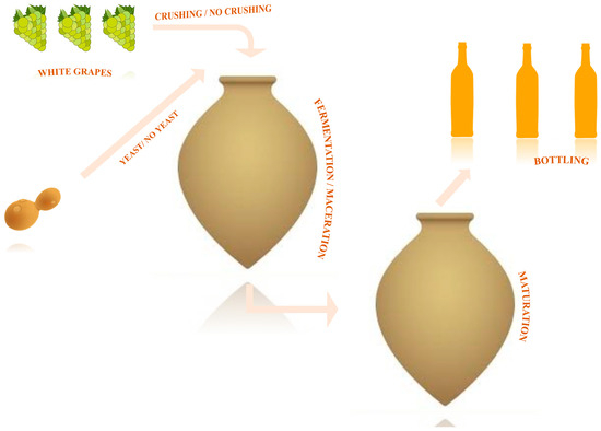 “Orange” Wine—The Resurgence of an Ancient Winemaking Technique: A Review