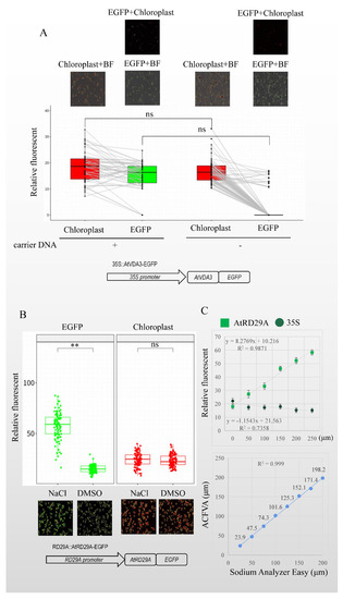 A Microimage-Processing-Based Technique for Detecting Qualitative and Quantitative ...
