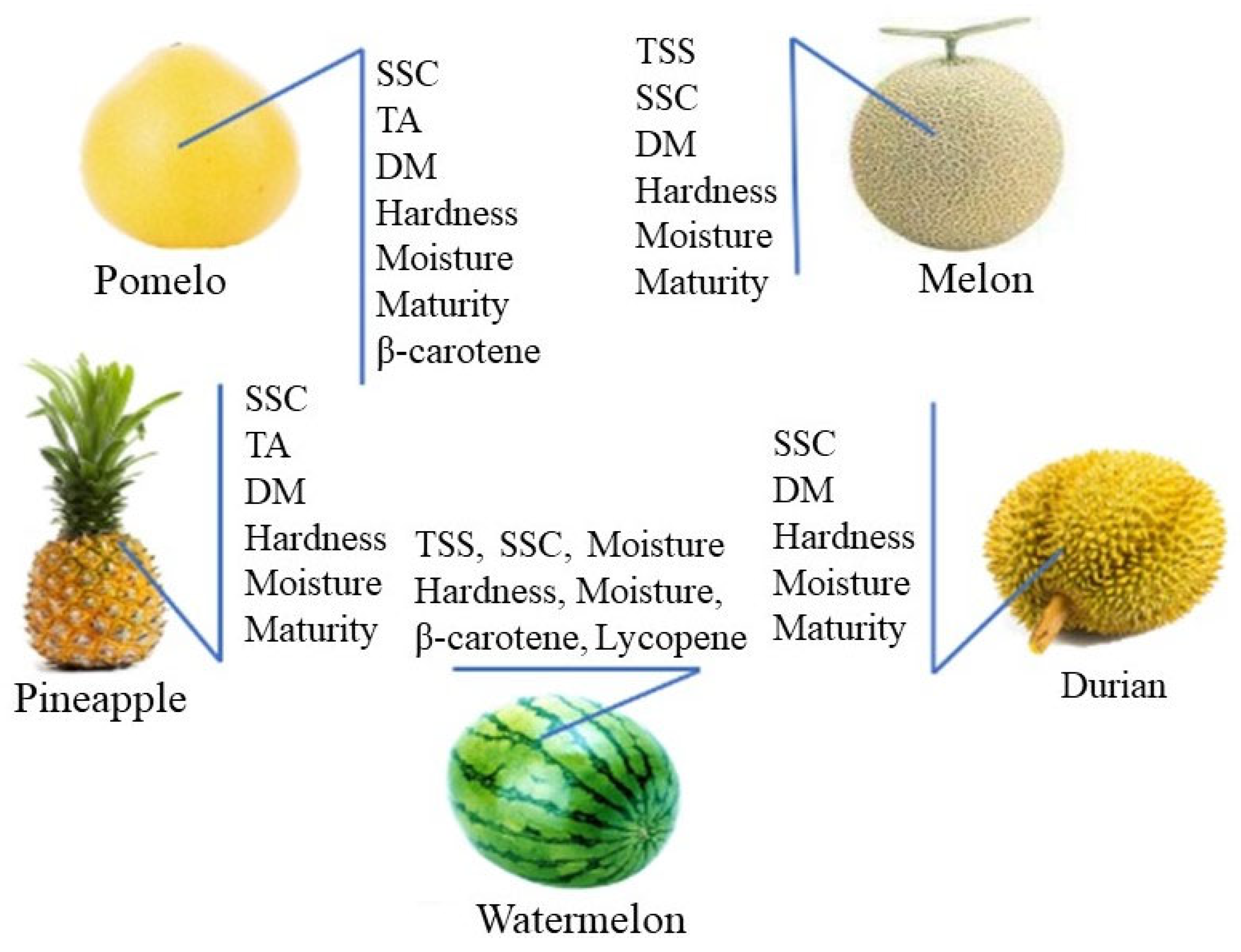 Multiple Fruits