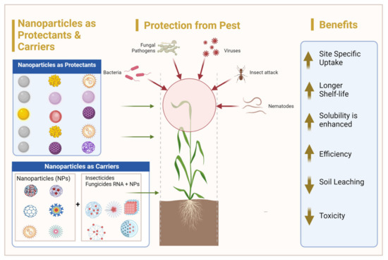 Nanotechnology as a Promising Tool against Phytopathogens: A Futuristic ...