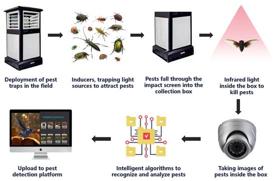 Research on the Agricultural Pest Identification Mechanism Based on an ...