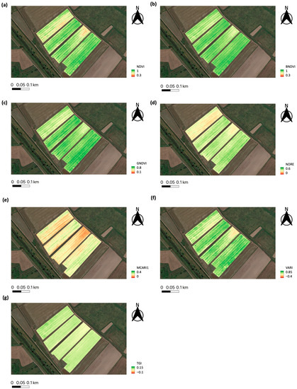 Applying RGB-Based Vegetation Indices Obtained from UAS Imagery for ...
