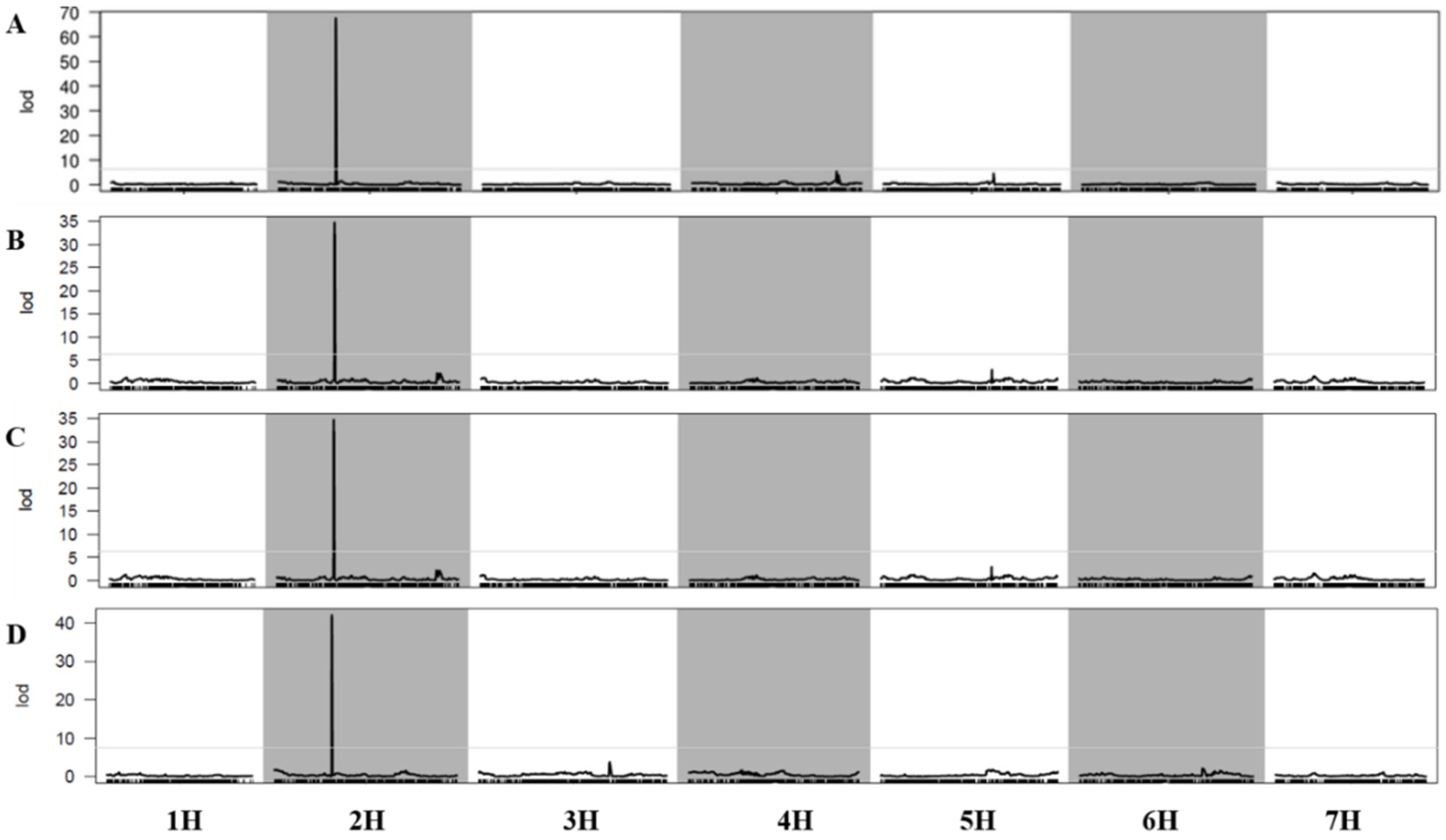 Gene Locus Mapping and Candidate Gene Screening for Branched Spike and ...