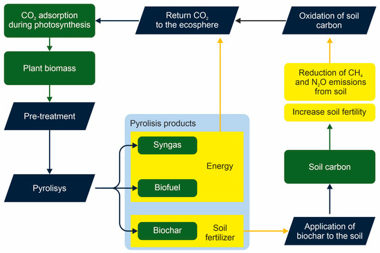 Biochar Functions in Soil Depending on Feedstock and Pyrolyzation ...