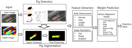 The Development of a Weight Prediction System for Pigs Using Raspberry Pi