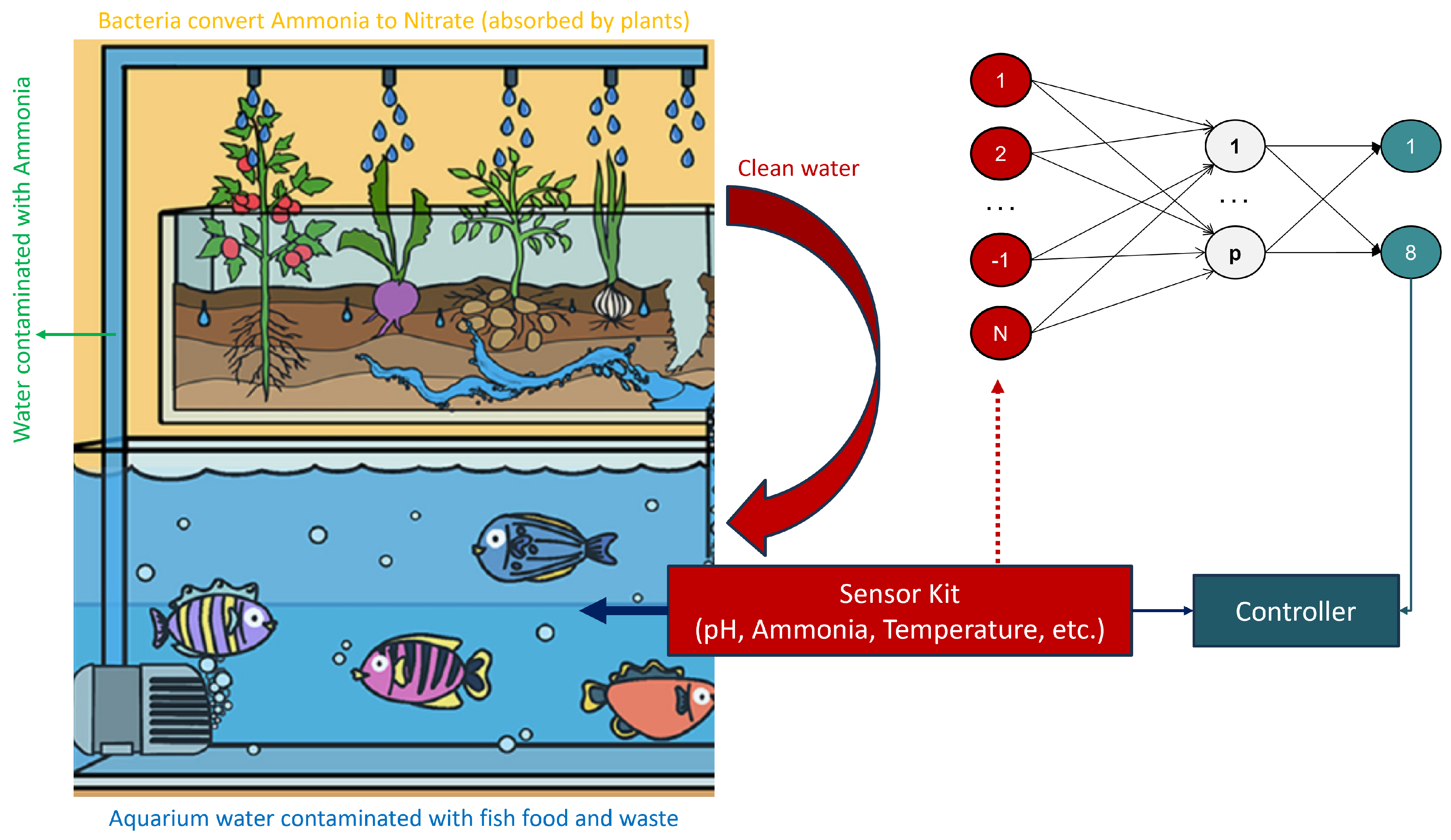 SpikoPoniC: A Low-Cost Spiking Neuromorphic Computer for Smart Aquaponics