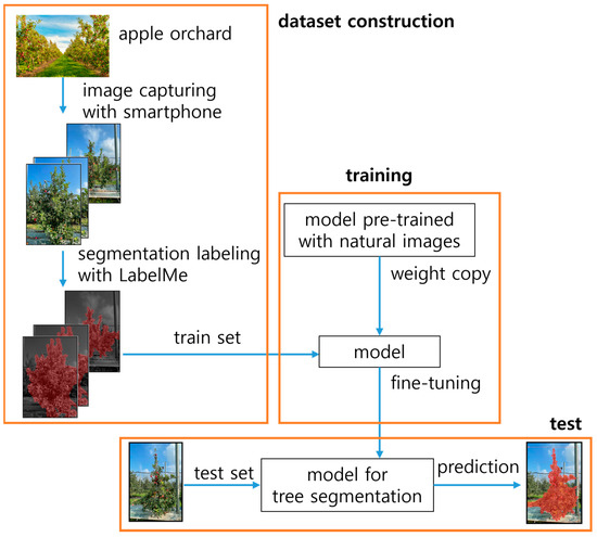 Deep Learning-Based Segmentation of Intertwined Fruit Trees for ...