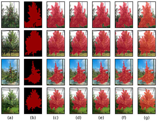 Deep Learning-Based Segmentation of Intertwined Fruit Trees for ...