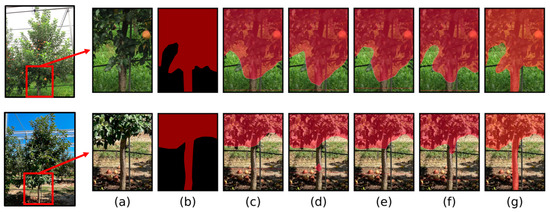 Deep Learning-Based Segmentation of Intertwined Fruit Trees for ...