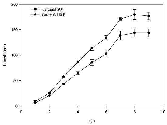 The Evaluation of the Water Consumption and the Productive Parameters ...