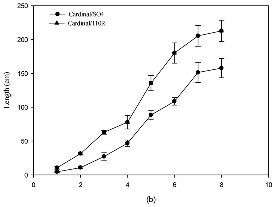 The Evaluation of the Water Consumption and the Productive Parameters ...