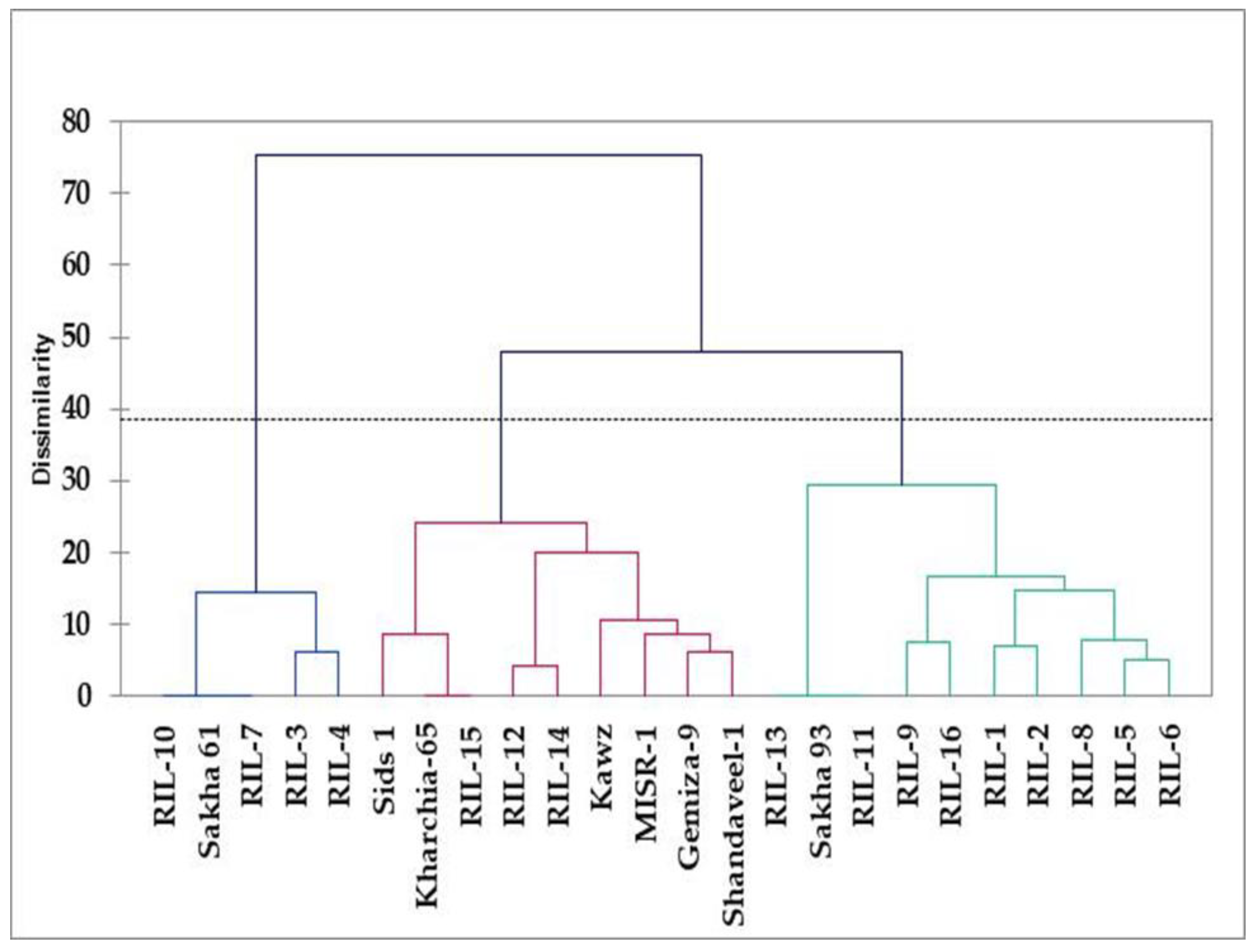 Agriculture | Free Full-Text | Integrating Agro-Morpho-Physiological ...
