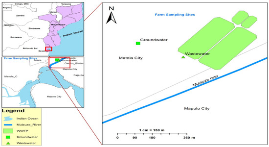 Wastewater-Based Nutrient Supply for Lettuce Production in the Infulene ...