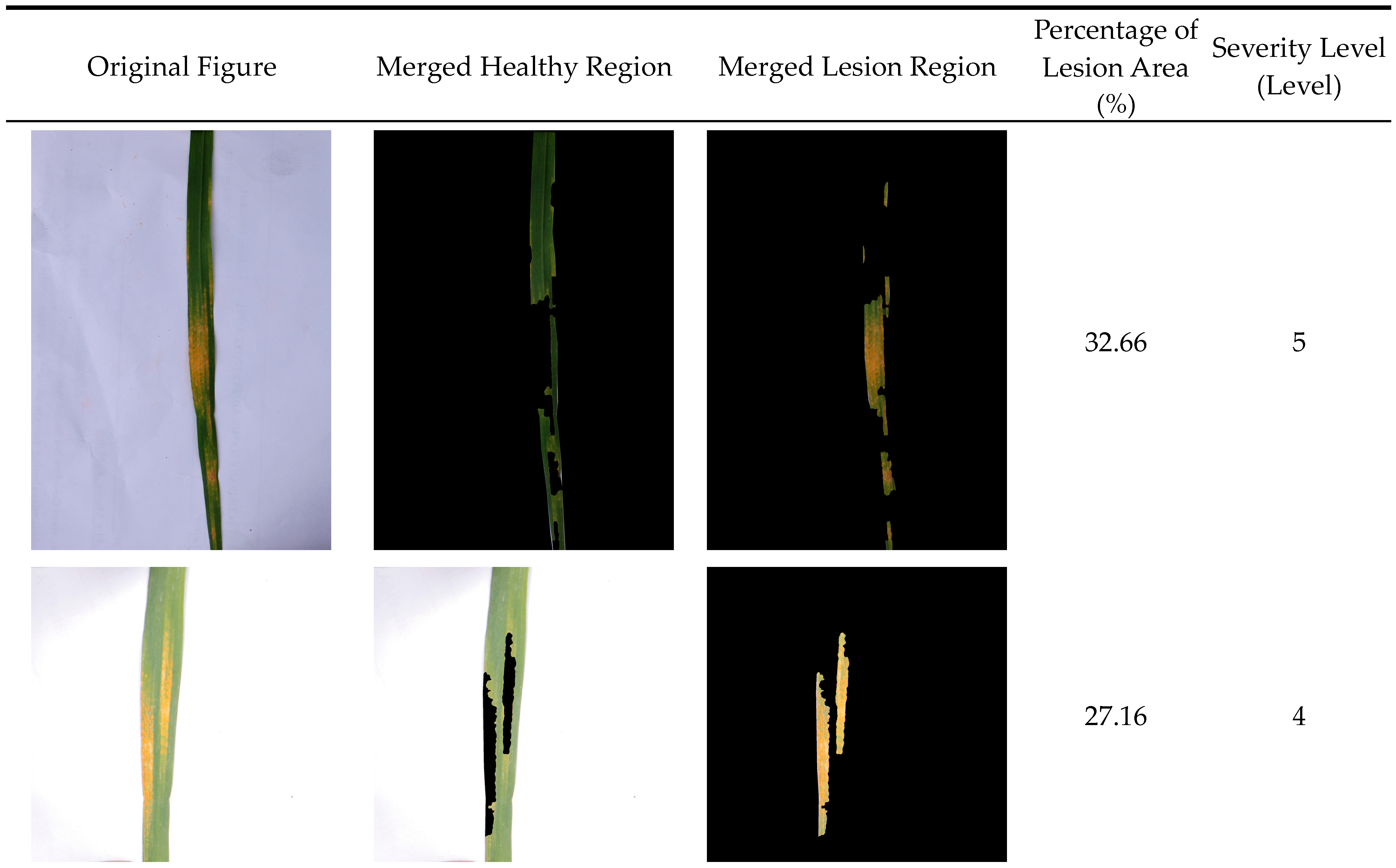 Research On The Method Of Identifying The Severity Of Wheat Stripe Rust Based On Machine Vision