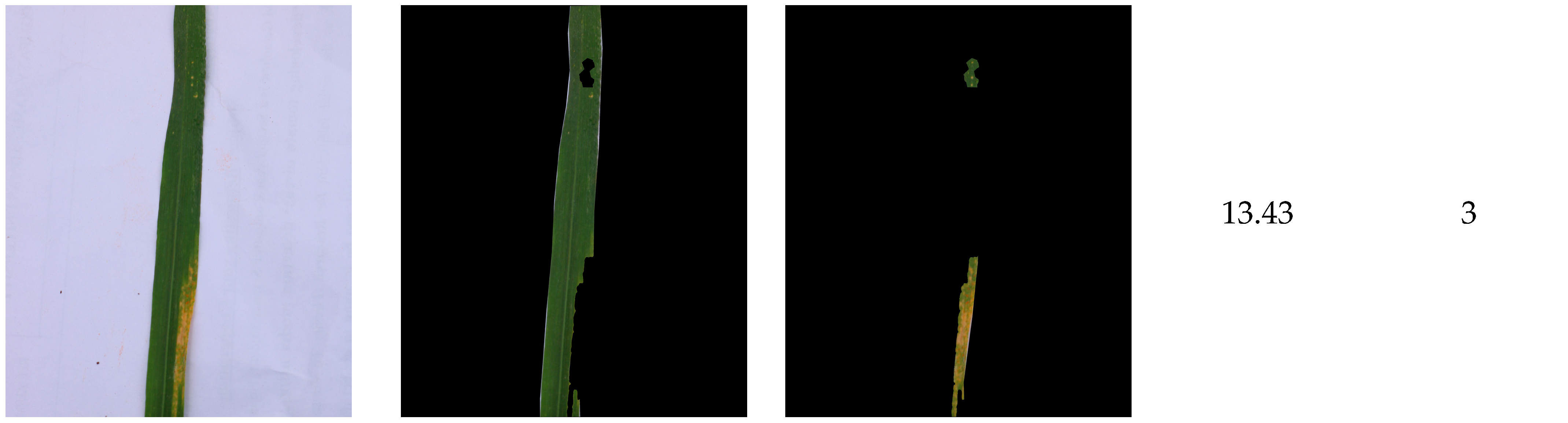 Research On The Method Of Identifying The Severity Of Wheat Stripe Rust Based On Machine Vision