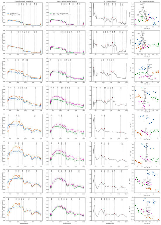 Classification of Plenodomus lingam and Plenodomus biglobosus in Co ...