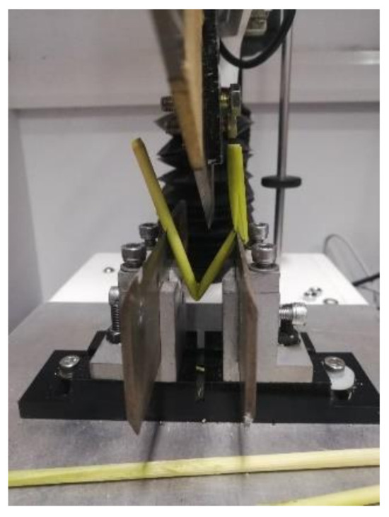 Design and Experiment of Bionic Straw-Cutting Blades Based on Locusta ...