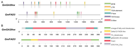 Genome-Wide Association Analysis-Based Mining of Quality Genes Related ...