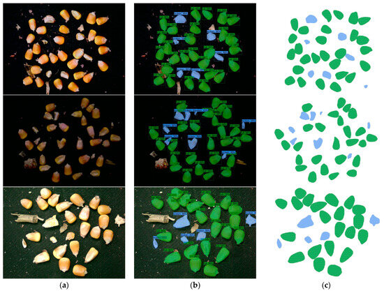 Agriculture | Free Full-Text | Detection of the Corn Kernel Breakage Rate Based on an Improved ...