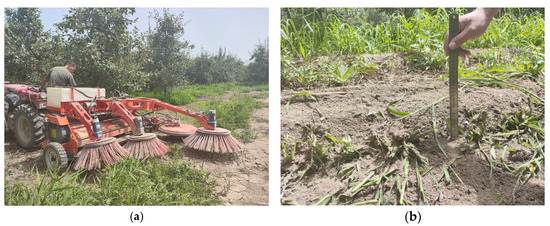 Development of an Orchard Mowing and Sweeping Device Based on an ADAMS ...