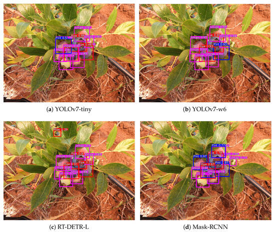 Comprehensive Analysis Of Model Errors In Blueberry Detection And Maturity Classification