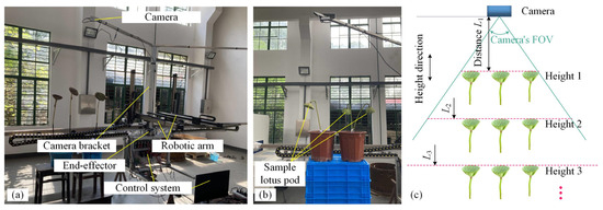 MLP-YOLOv5: A Lightweight Multi-Scale Identification Model for Lotus ...