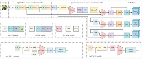 A Lightweight Detection Method for Blueberry Fruit Maturity Based on an Improved YOLOv5 Algorithm