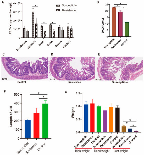 Proteomic and Metabolomic Profiling Elucidate the Impact of PEDV on ...