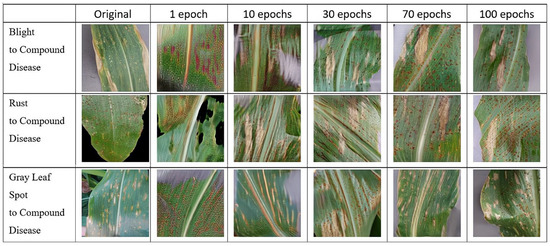 Agriculture | Free Full-Text | Maize Leaf Compound Disease Recognition ...