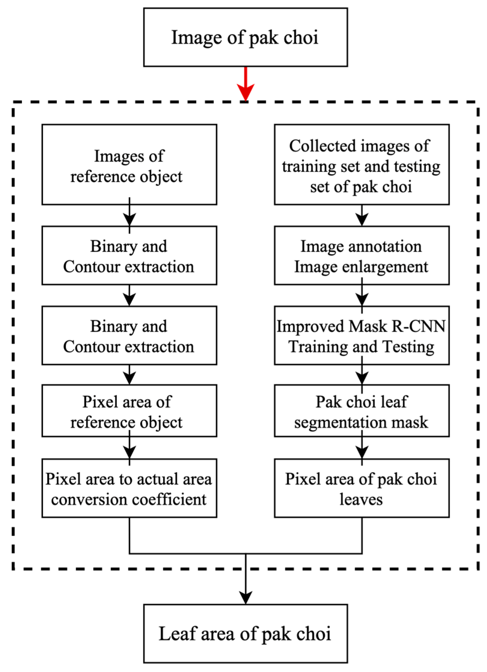 A Method for Calculating the Leaf Area of Pak Choi Based on an Improved ...